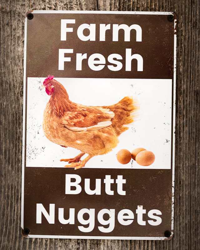 About Ashton Craft Brewing Company | Ashton Brewing Company ...